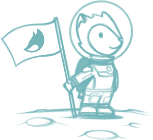 FAQ – rocket fox design